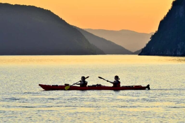 15 min Tadoussac: Guided Sea Kayaking Adventure - What’s the Experience Like?
