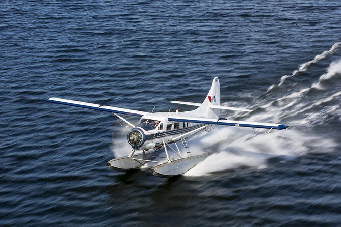 15-Minute Crater Lakes Flight by Floatplane from Rotorua - The Flight Itinerary: What You Can Expect