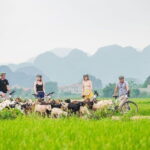 17-Day Vietnam Tour | Explore the Best Highlights of Vietnam - What’s Included and Why It Matters