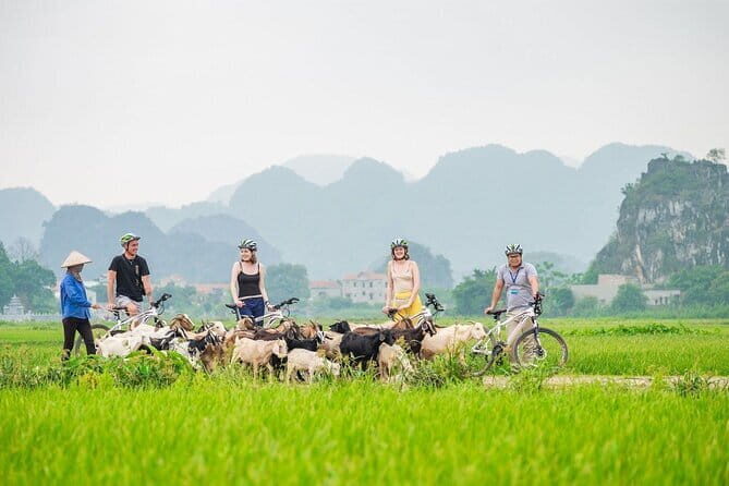17-Day Vietnam Tour | Explore the Best Highlights of Vietnam - What’s Included and Why It Matters