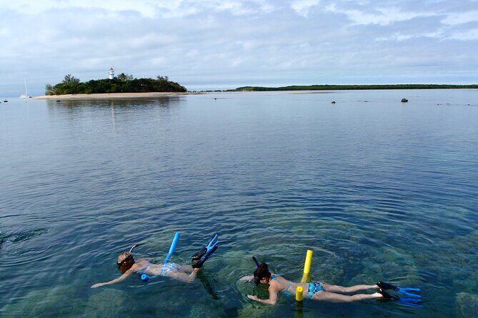 2 1/4 hr Low Isles Reef Sprinter Snorkeling Tour-No Island Access - Why This Tour Is a Solid Choice