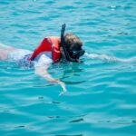 2-3 hours of Private Snorkeling Trip in South of Phu Quoc - The Experience in Action: What You Can Expect