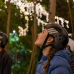 2.5 Hour Brisbane: Sightseeing Tours - Morning & Night - The Itinerary: What You’ll See and Do