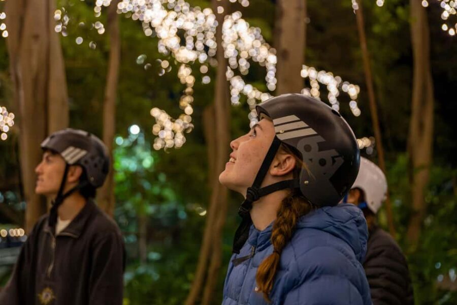 2.5 Hour Brisbane: Sightseeing Tours - Morning & Night - The Itinerary: What You’ll See and Do
