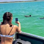 2.5 Hour Shell Key Island Adventure Including Dolphins And Shells - Why This Tour Is a Great Choice