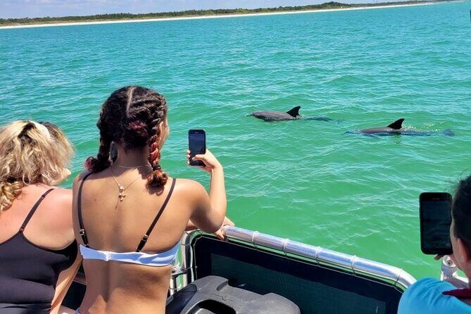 2.5 Hour Shell Key Island Adventure Including Dolphins And Shells - Why This Tour Is a Great Choice