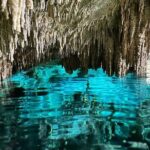 2 Cenotes Private Tour  VIP Adventure with Expert Guide - Analyzing the Value: Is It Worth the Price?