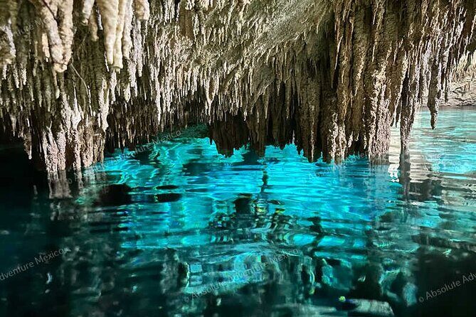 2 Cenotes Private Tour  VIP Adventure with Expert Guide - Analyzing the Value: Is It Worth the Price?