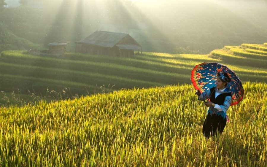 2 Day-2 Night Sapa Trekking: Overnight Train &Limousine Bus - Day Two: Mountain Views, Markets, or Fansipan