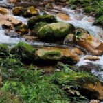2-Day Best Of Zhangjiajie-Avatar World & Tianmen Mountain Tour - Cost, Booking, and Value