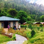 2-day Camping Trip in Chanfi, Uttarakhand - Day 1: Arrivals and Activities