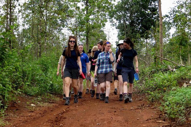 2-Day Chiang Dao and Mae Taeng Valley active tour - Summary: Who Is This Tour Best For?