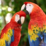 2 Day Combo Tour, Xcaret, Xel-Ha, Xplor and Chichen Itza Option - The Sum Up