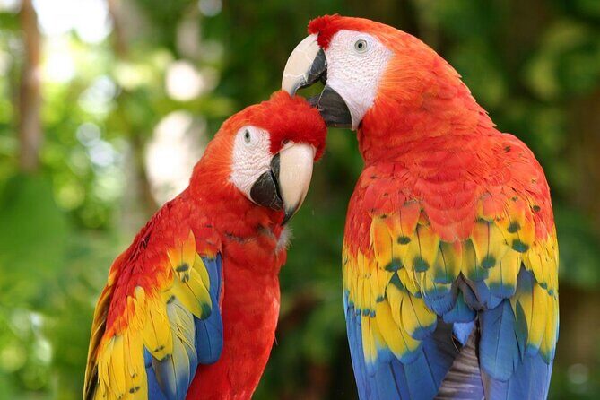 2 Day Combo Tour, Xcaret, Xel-Ha, Xplor and Chichen Itza Option - The Sum Up