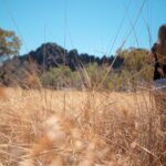 2 Day Daintree Rainforest and Chillagoe Outback Tour - Why This Tour Works for Travelers