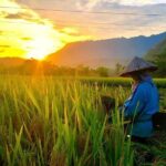 2-Day Mai Chau Valley Tour from Hanoi - What Do Travelers Say?