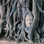 2 Day Private Car with Driver from Laem Chabang to Bangkok & Ayutthaya - Who Is This Tour Best For?