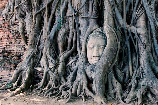 2 Day Private Car with Driver from Laem Chabang to Bangkok & Ayutthaya - Who Is This Tour Best For?