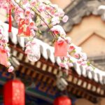 2-Day Private Classic Xi'an City Tour from Beijing by Bullet Train - Day 2: The Wonders of Ancient China