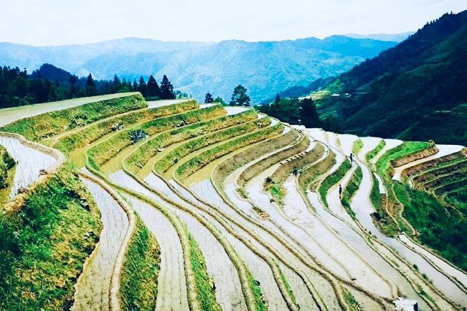 2-Day Private Guilin Highlight Tour including Li River and Longji Rice Terraces - Day 2: Li River Cruise, Xianggong Mountain, and West Street