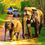 2-Day Private Luxury Jaipur Trip from Delhi - Who Will Enjoy This Tour?