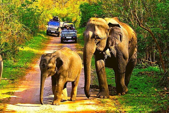 2-Day Private Luxury Jaipur Trip from Delhi - Who Will Enjoy This Tour?