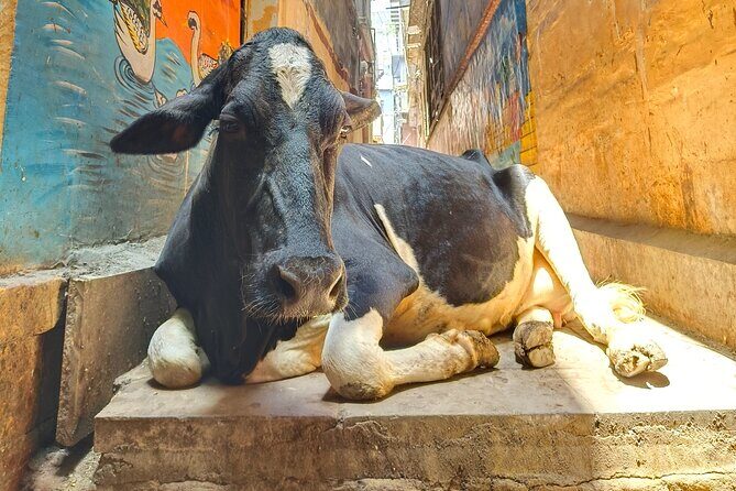 2 Day Private Mystical Varanasi Tour - Authenticity, Value, and Practical Tips