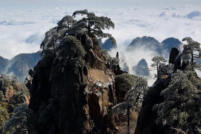 2-Day Private Trip to Huangshan and Hongcun from Shanghai with Accommodation - Breaking Down the Itinerary