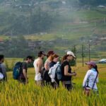2-Day SAPA Trekking - Villages-Homestay-Ethnic-Local Food-Market - Weather and Physical Prep