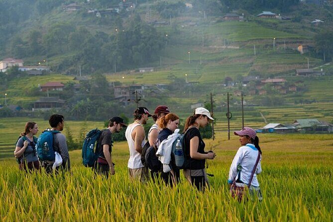 2-Day SAPA Trekking - Villages-Homestay-Ethnic-Local Food-Market - Weather and Physical Prep