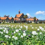 2 Day Tour Auckland to Hobbiton, Waitomo, Rotorua and Taupo - Detailed Review of the Itinerary and Attractions