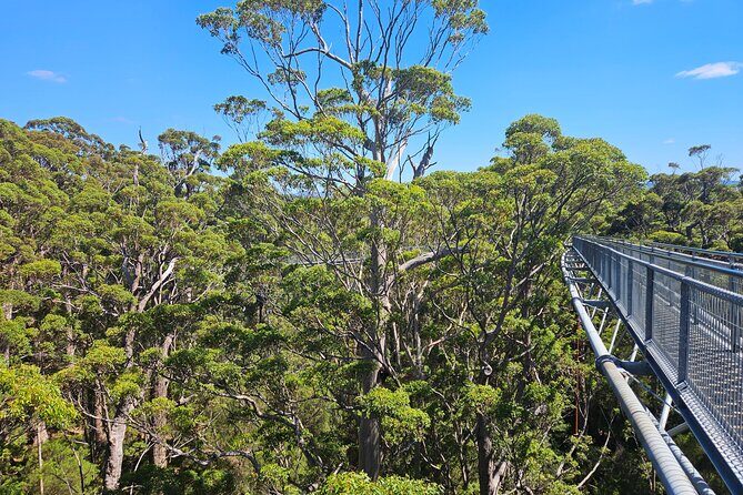 2 Day Tour Busselton Jetty, Ngilgi Cave to Valley of the Giants - Day 2: Towering Trees and Rugged Cliffs
