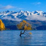 2 Day Tour From Christchurch to Queenstown via Franz Josef - A Thorough Breakdown of the Itinerary
