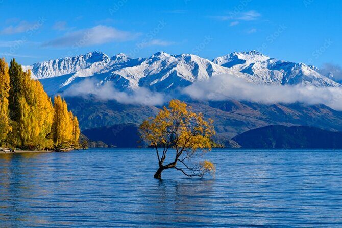 2 Day Tour From Christchurch to Queenstown via Franz Josef - A Thorough Breakdown of the Itinerary