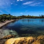 2-Day Waiheke Island Sea Kayak Tour - Practical Details and Logistics
