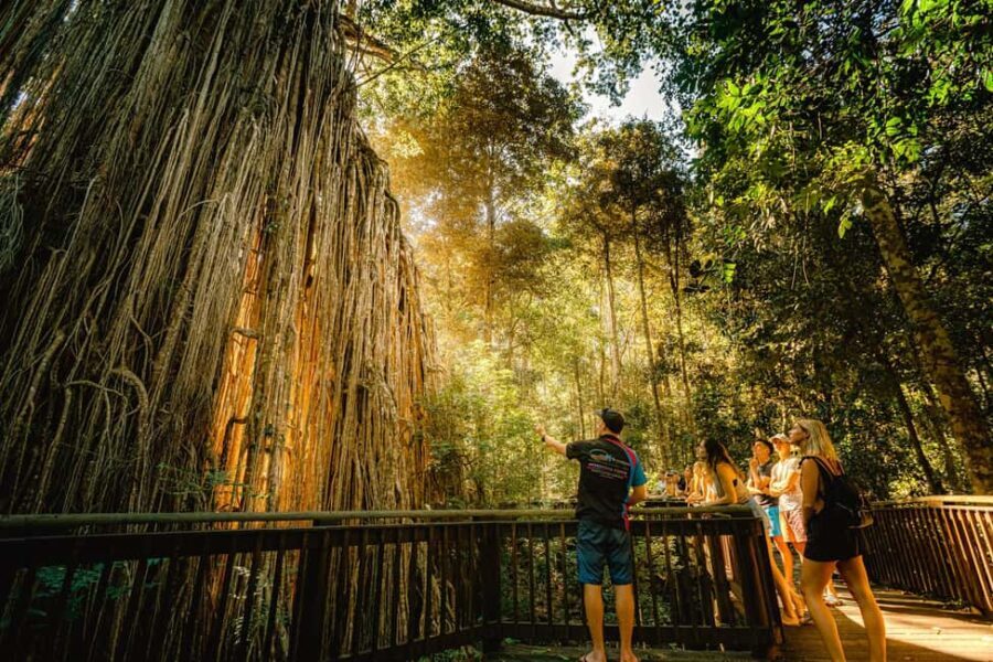 2-Day Waterfall and Daintree Tour - Transport, Price, and Overall Value