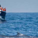 2-Day Whale Watching & Southern Sri Lanka Tour - What to Expect on the Tour