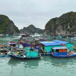 2 Days 1 Night Explore Lan Ha Bay & Cat Ba Island from Hanoi - What Recent Travelers Say