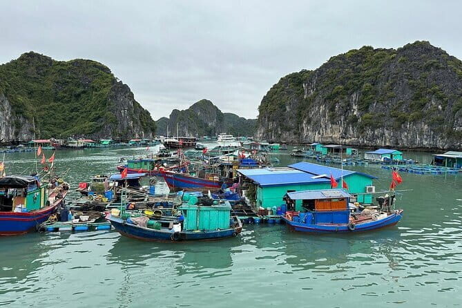 2 Days 1 Night Explore Lan Ha Bay & Cat Ba Island from Hanoi - What Recent Travelers Say