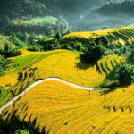 2 days 1 night Sapa trekking at 4 star hotel - What’s Included and What’s Not