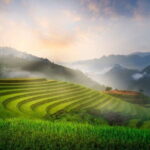 2 days 1 night Sapa trekking homestay - An In-Depth Look at the 2-Day Sapa Trekking Homestay