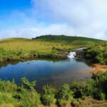2 Days All inclusive Kandy and Nuwara Eliya Tour from Colombo - What Makes This Tour Stand Out?