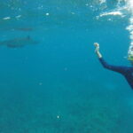 2 Days and 1 Night Private Tour with Snorkeling in Nusa Penida - The Practicalities: What’s Included and What Not