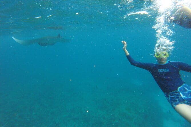 2 Days and 1 Night Private Tour with Snorkeling in Nusa Penida - The Practicalities: What’s Included and What Not