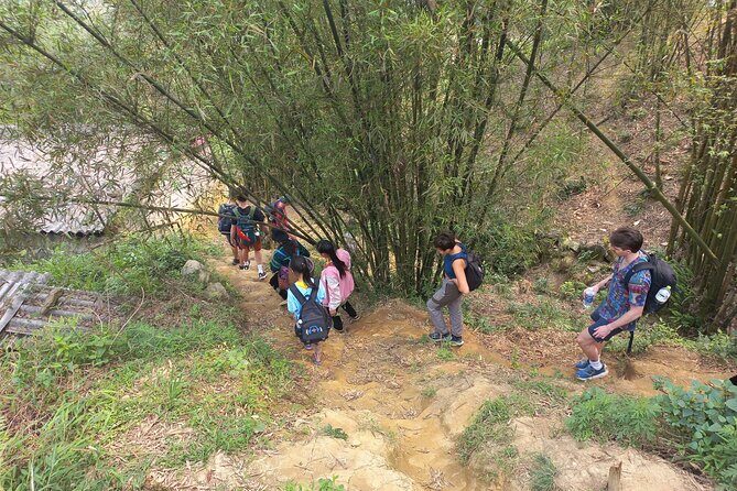 2 Days and 1 Night Sa Pa Trekking - Day 2: Exploring Red Dao Villages and Heading Back