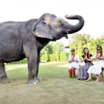 2 Days complete Jaipur tour with elephant safari with guide. - The Value of This Tour: Why It Works