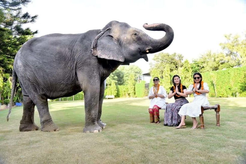 2 Days complete Jaipur tour with elephant safari with guide. - The Value of This Tour: Why It Works