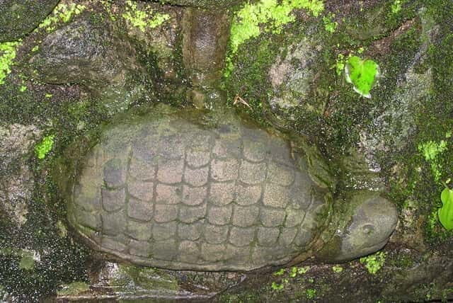 2 Days Koh Ker Group, Beng Mealea & Tonle Sap Lake - Practical Details and What to Expect