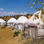 2 Days Private Safari Tour from Bukhara - A Detailed Breakdown of the Tour