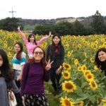2 Days Private Taxi Tour - West and South of Jeju Island - An In-Depth Look at the Itinerary